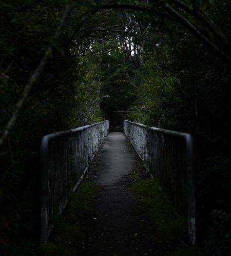 The Sculptor | Discretionary Love